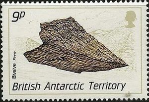 Stamp: Bivalve (Pinna sp) (British Antarctic Territory (BAT)(Fossils ...