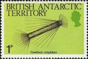 Stamp: Diatom (Corethron criophilum) (British Antarctic Territory (BAT ...