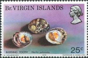 切手: Bleeding Tooth Nerite (Nerita peloronta) (英領バージン諸島(Sea Shells) Mi ...