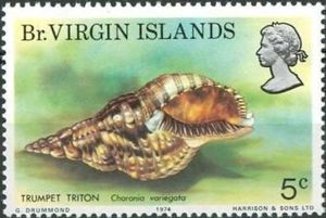 切手: Atlantic Triton (Charonia tritonis variegata) (英領バージン諸島(Sea Shells ...