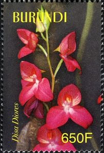 Stamp: Disa Diores (Burundi) (Orchids (2004)) Mi:BI 1882,Sn:BI 766e,Yt ...