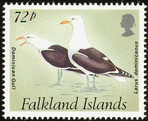 Stamp: Dominican Gull (Larus dominicanus) (Falkland Islands(Gulls and ...