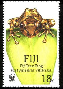 Stamp: Fiji Tree Frog (Platymantis vitiensis) (Fiji(Fiji Tree Frog) Mi ...