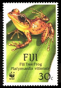 Stamp: Fiji Tree Frog (Platymantis vitiensis) (Fiji) (World Wildlife ...
