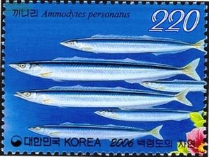 切手: Pacific Sandlace (Ammodytes personatus) (大韓民国(Nature of ...