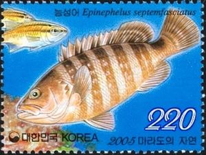 切手: Convict Grouper (Ephinephelus septemfasciatus) (大韓民国(Nature of ...