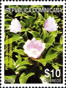 Stamp: Bayahibe Rose (Dominican Republic) (Endemic Species of Dominican ...