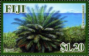 Stamp: Cycad (Cycas seemannii) (Fiji(Fiji Endangered Flora) Mi:FJ 1335 ...