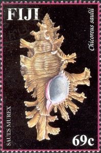 Stamp: Saul's Murex (Chicoreus saulii) (Fiji(Murex Shells of Fiji) Mi ...