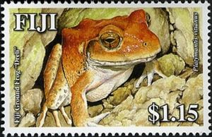 Stamp: Fiji Ground Frog (Platymantis vitianus) (Fiji(Land Frogs of Fiji ...