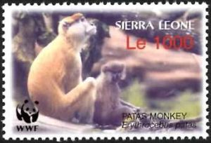 Stamp: Common Patas Monkey (Erythrocebus patas) (Sierra Leone(WWF ...