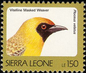 Stamp: Southern Masked Weaver (Ploceus velatus) (Sierra Leone(Birds ...