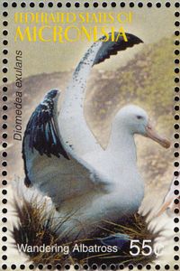 Stamp: Wandering Albatross (Diomedea exulans) (Micronesia, Federated ...