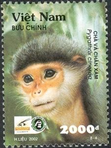 Stamp: Grey-shanked Douc (Pygathrix cinerea) (Vietnam(Primates in ...