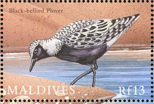 Stamp: Black-bellied Plover (Pluvialis squatarola) (Maldives(Birds of ...
