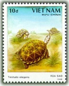 Stamp: Indian Star Tortoise (Testudo elegans) (Vietnam(Turtles) Mi:VN ...