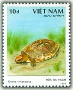 Stamp: Chinese Three-striped Box Turtle (Cuora trifasciata) (Vietnam ...