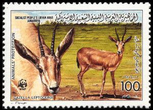 Stamp: Slender-horned Gazelle (Gazella leptoceros) (Libya(WWF Gazelle ...
