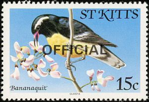 Stamp: Bananaquit (Coereba flaveola) - overprinted (Saint Kitts) (Birds ...