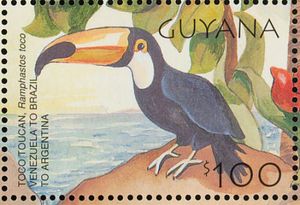 Stamp: Toco Toucan (Ramphastos toco) (Guyana(Tropical Birds) Mi:GY 7335 ...