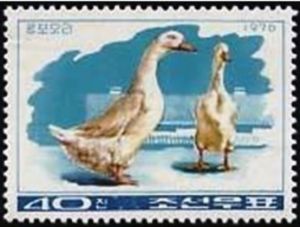 Známka: Kwangpo Duck (Anas platyrhynchos domestica) (Severní Korea ...