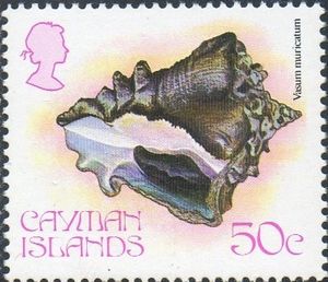 Stamp: Caribbean Vase (Vasum muricatum) (Cayman Islands(Shells) Mi:KY ...