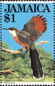 Stamp: Jamaican Lizard Cuckoo (Saurothera vetula) (Jamaica(Jamaican ...