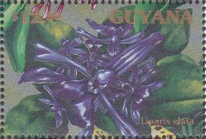 Stamp: Liparis elata (Guyana) (Orchids) Mi:GY 3365,Sn:GY 2370l,Sg:GY 2940