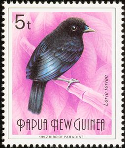 Stamp: Loria's Satinbird (Loria loriae) (Papua New Guinea(Birds of ...