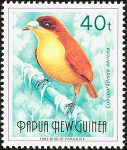 Stamp: Yellow-breasted Satinbird (Loboparadisea sericea) (Papua New ...