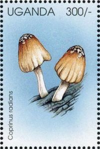 Stamp: Coprinus radians (Uganda(Mushrooms of Africa (1996)) Mi:UG 1695 ...