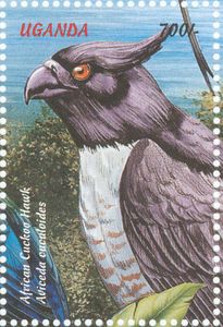 Stamp: African Cuckoo-hawk (Aviceda cuculoides) (Uganda(Endemic birds ...