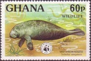 Stamp: African Manatee (Trichechus senegalensis) (Ghana(WWF Wildlife ...