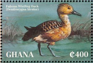 Stamp: Fulvous Whistling Duck (Dendrocygna bicolor) (Ghana(Ducks of ...