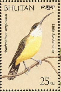 Stamp: Little Spiderhunter (Arachnothera longirostra) (Bhutan(Birds ...