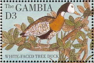 Stamp: White-faced Tree-Duck (Dendrocygna viduata) (Gambia(Waterbirds ...