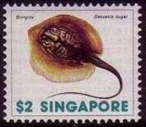 Stamp: Sharpnose Stingray (Dasyatis zugei) (Singapore(Sea Life) Mi:SG ...