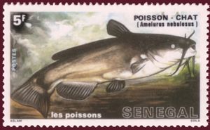 Stamp: Brown Catfish (Ameiurus nebulosus) (Senegal) (Fish (1999)) Mi:SN ...