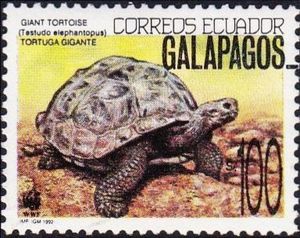 Stamp: Galapagos Giant Tortoise (Testudo elephantopus) (Ecuador(WWF ...