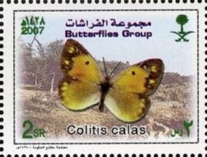 Stamp: Small Salmon Arab (Colitis calas) (Saudi Arabia(Butterflies ...