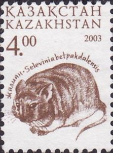 Stamp: Desert Dormouse (Selevinia betpakdalaensis) (Kazakhstan ...