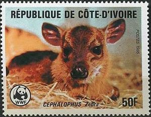 Stamp: Banded Duiker (Cephalophus zebra) (Ivory Coast(WWF - Striped ...