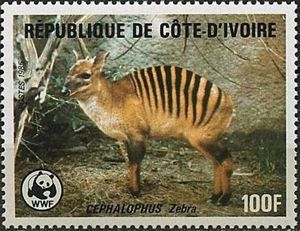 Stamp: Zebra Duiker (Cephalophus zebra) (Ivory Coast(WWF - Striped ...