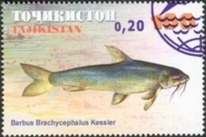 Stamp: Aral Barbel (Barbus brachycephalus) - Surcharge & Overprint ...