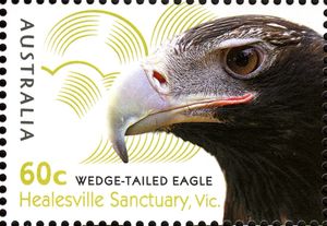 Stamp: Wedge-tailed Eagle (Aquila audax) (Australia(Stamp Collecting ...