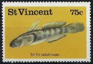 邮票: Tri Tri (Sicydium plumieri) (圣文森特和格林纳丁斯(Fresh-water Fishing) Mi:VC ...