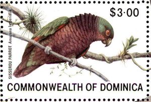 Stamp: Sisserou Parrot (Amazona imperialis) (Dominica(Birds) Mi:DM 712 📮