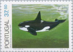Stamp: Killer Whale (Orcinus orca) (Portugal(Endangered Marine Species ...