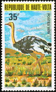 Stamp: Common Ostrich (Struthio camelus) (Upper Volta(Protected Birds ...
