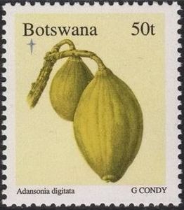 邮票: Baobab Tree (Adansonia digitata) - Fruit (博茨瓦纳(Christmas 1996 ...